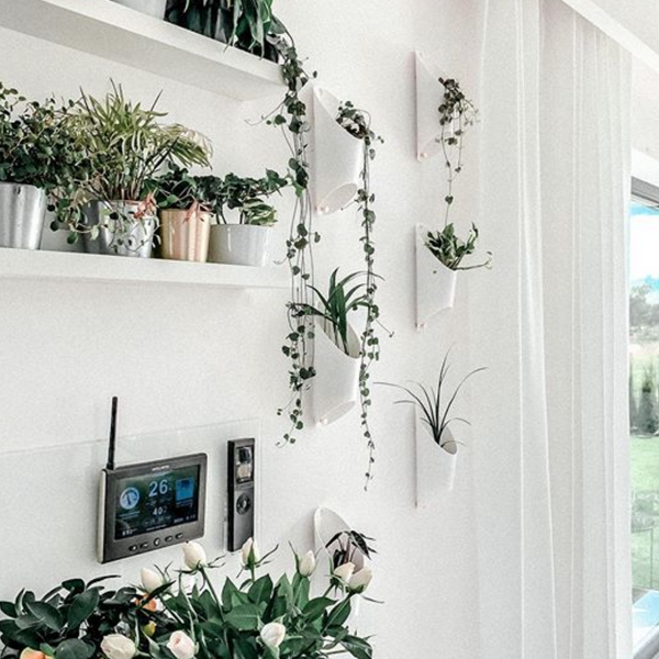 DIY Living Walls With Floralink – Umbra Europe